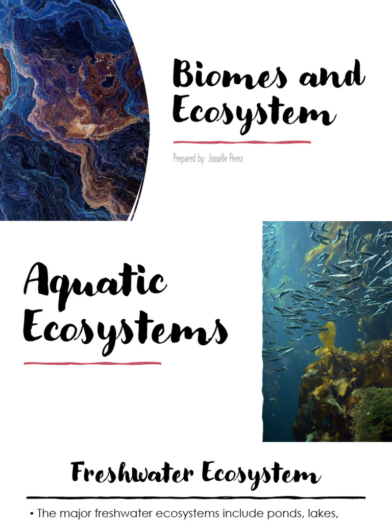 Ecosystem | PDF