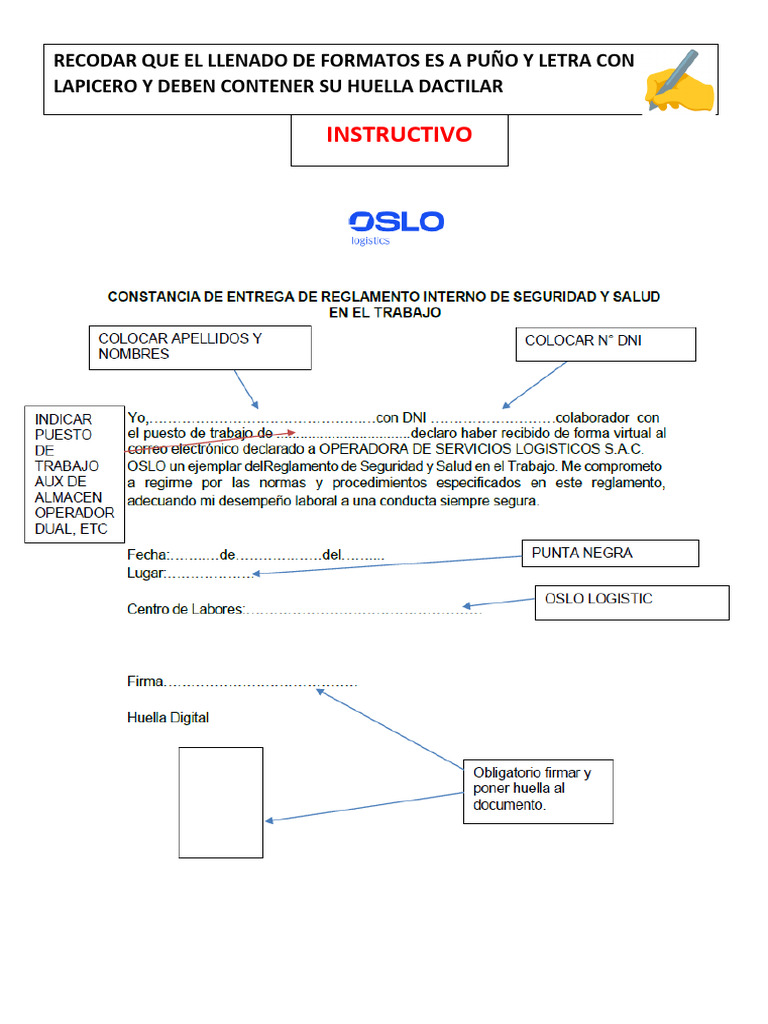 Instructivos para El Llenado de Formatos DJ y Risst | PDF