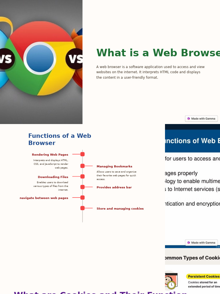 Web Browser | PDF