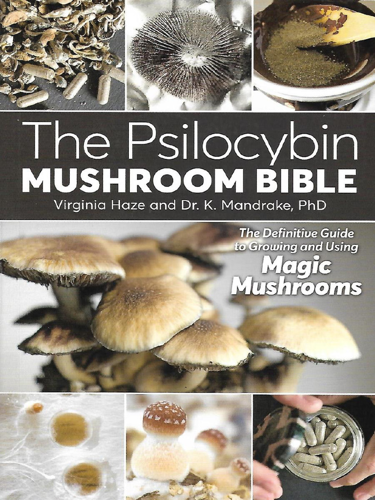 The Psilocybin Mushroom Bible-Trang-1 | PDF