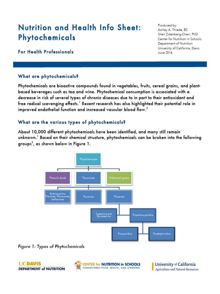 Fact Pro Phytochemical | PDF