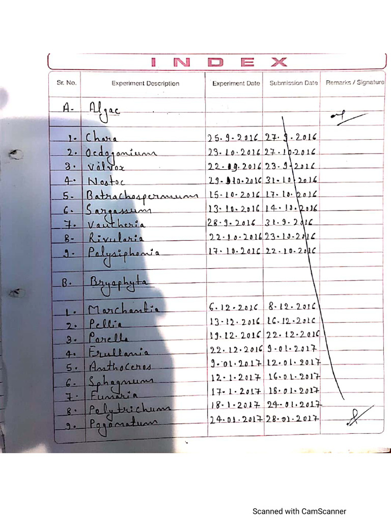 File1 MSC Sem 1 Practical | PDF