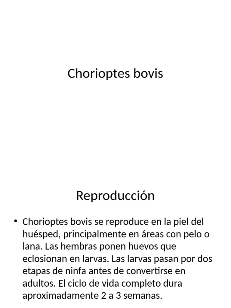 Chorioptes Bovis Presentation | PDF