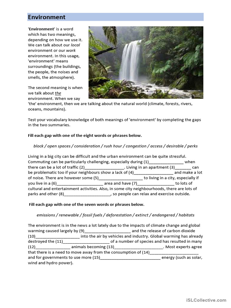 The Environment - Reading | PDF