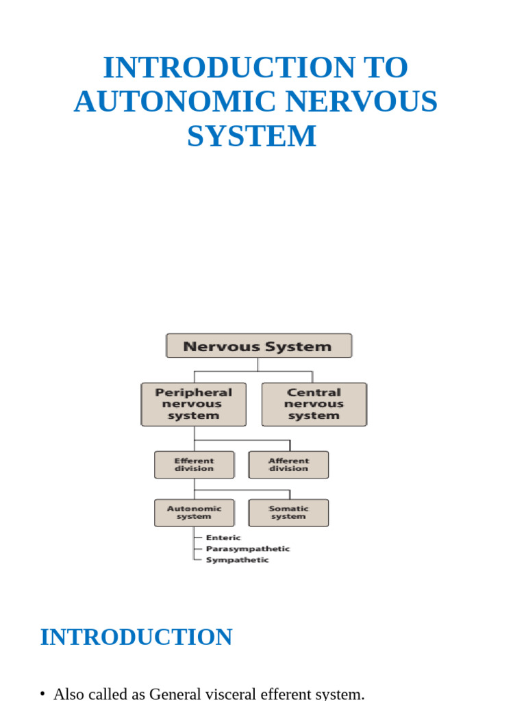 ANS System | PDF