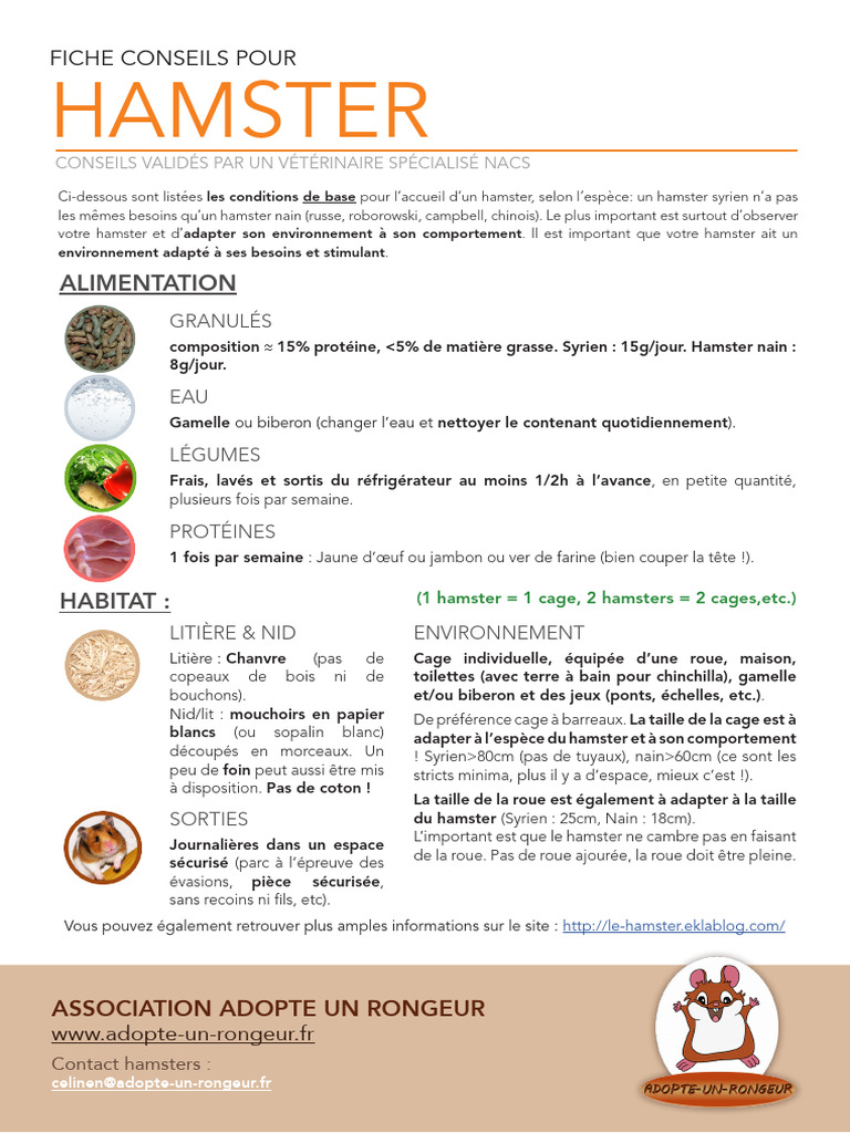 Hamster A4-Copie 2 | PDF
