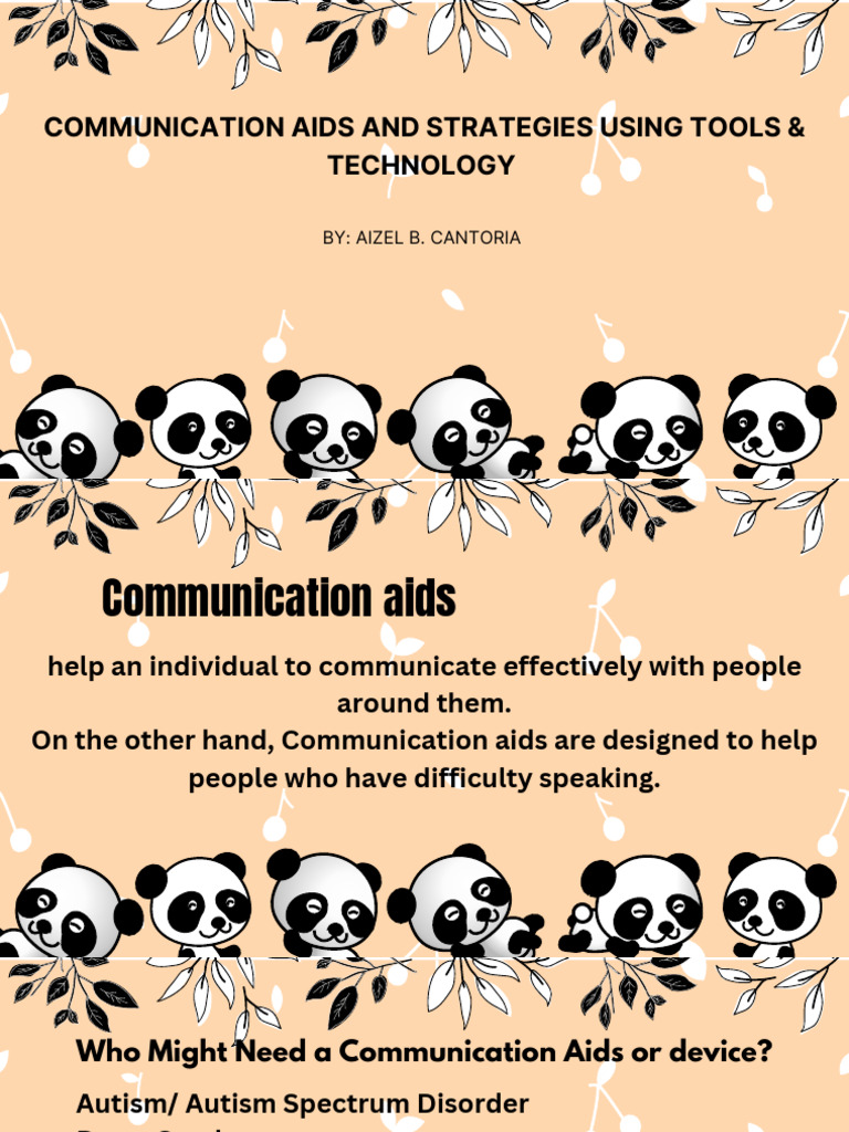 Black and White Cute Panda Zoom Virtual Background - 20240910 - 145857 ...