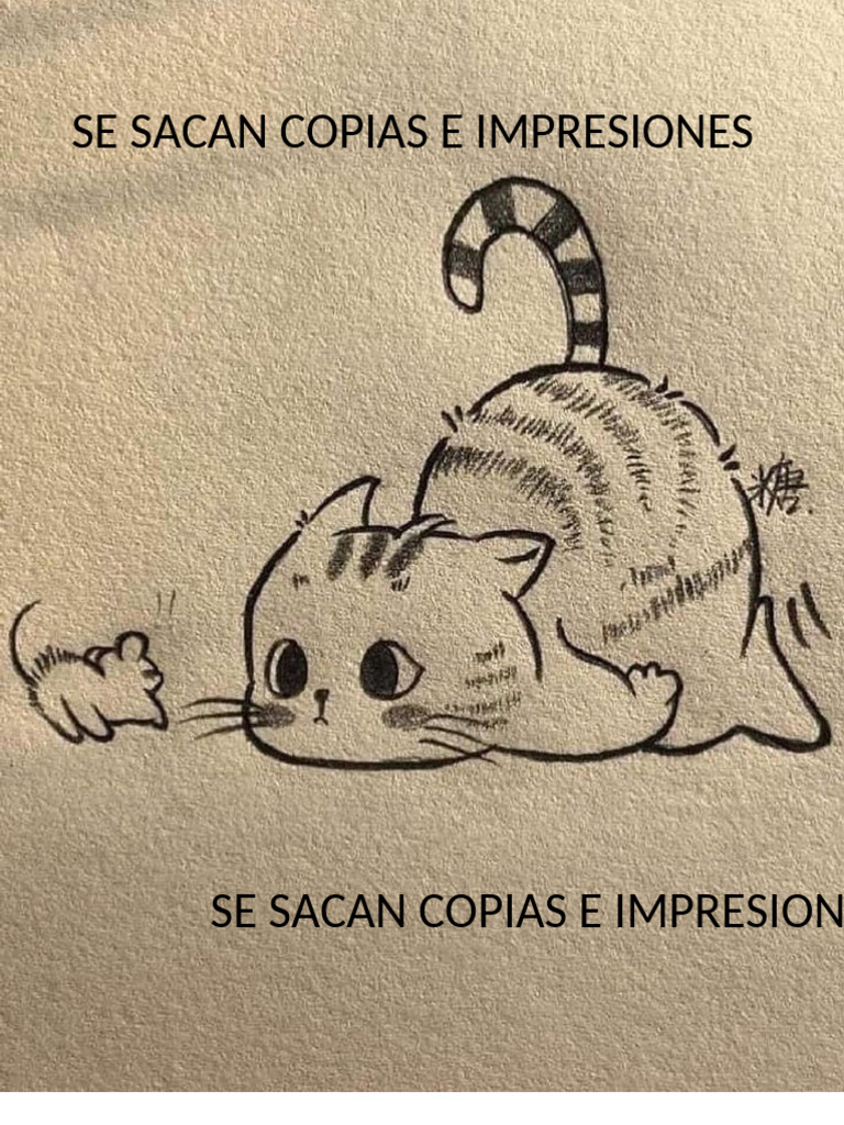 Se Sacan Copias | PDF