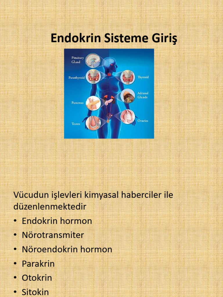 5.1 Endokrin Sisteme Giriş | PDF