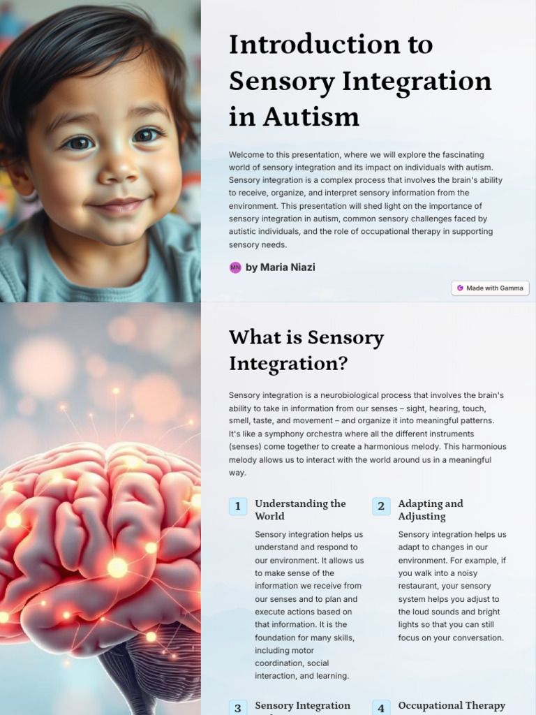 Introduction To Sensory Integration in Autism | PDF