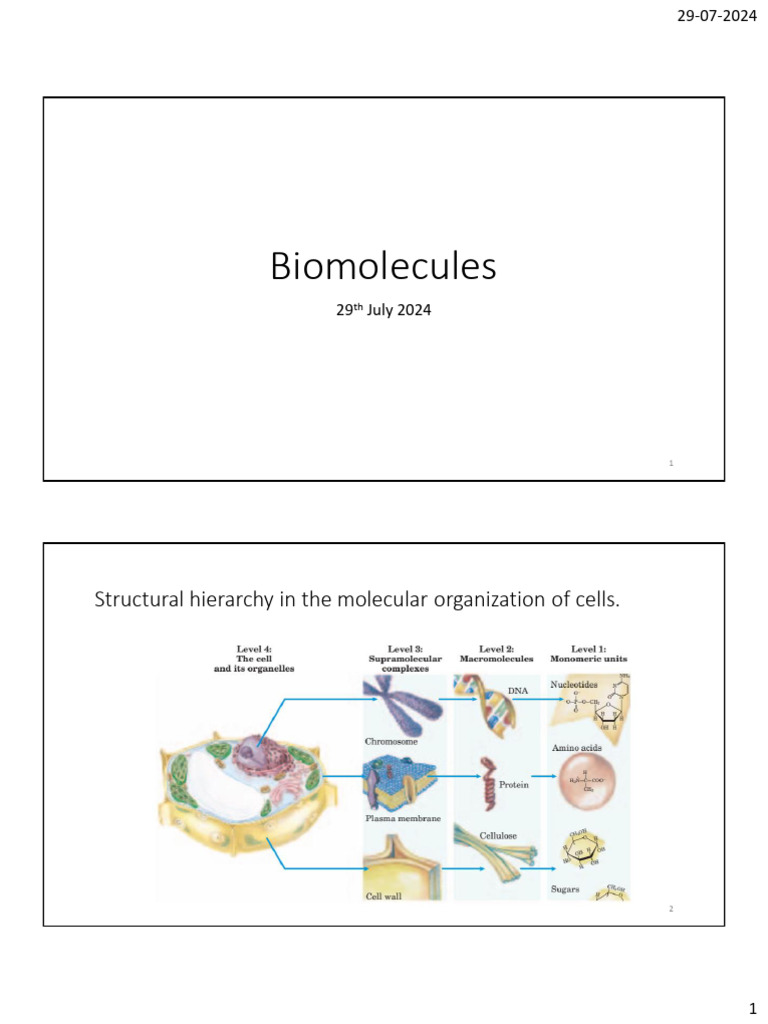 Biomolecules | PDF