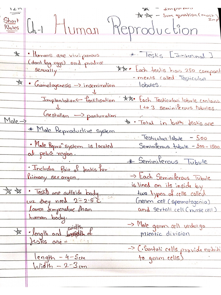 My Notes Human Reproduction | PDF