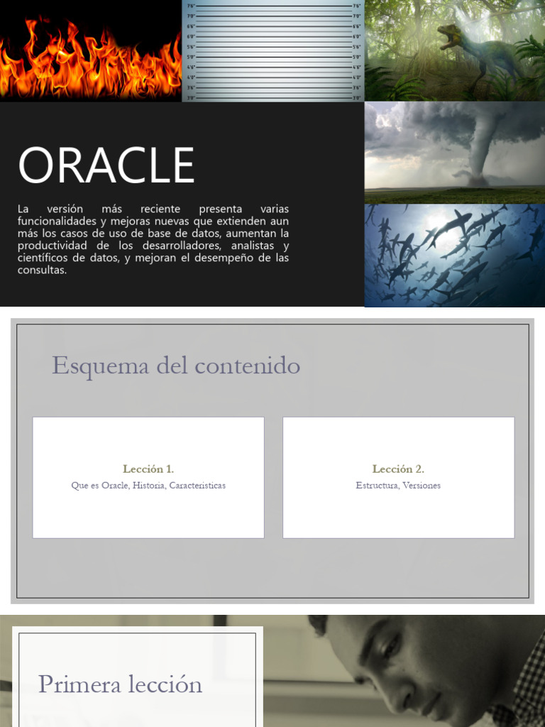 CLASE-ORACLE-V3 | PDF