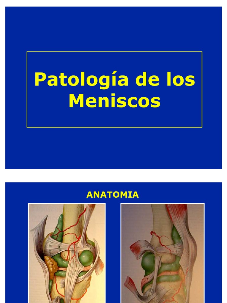 01- Meniscos | Rodilla | Articulaciones