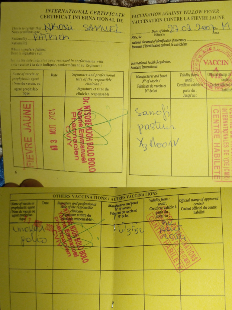 Medical Booklet | PDF