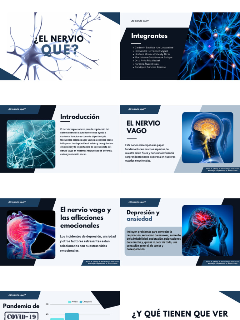 ¿El Nervio Qué | PDF
