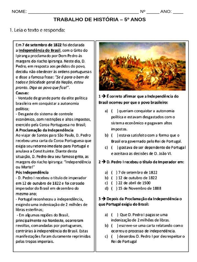 Trabalho 5 Anos Hist | PDF