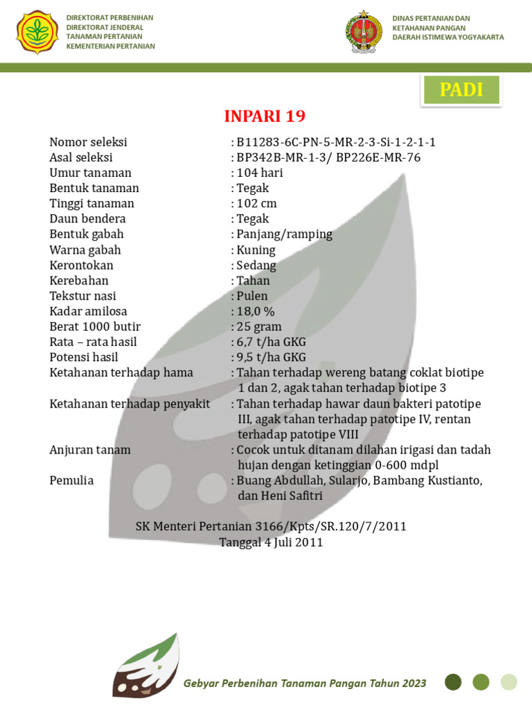 Inpari 19 | PDF