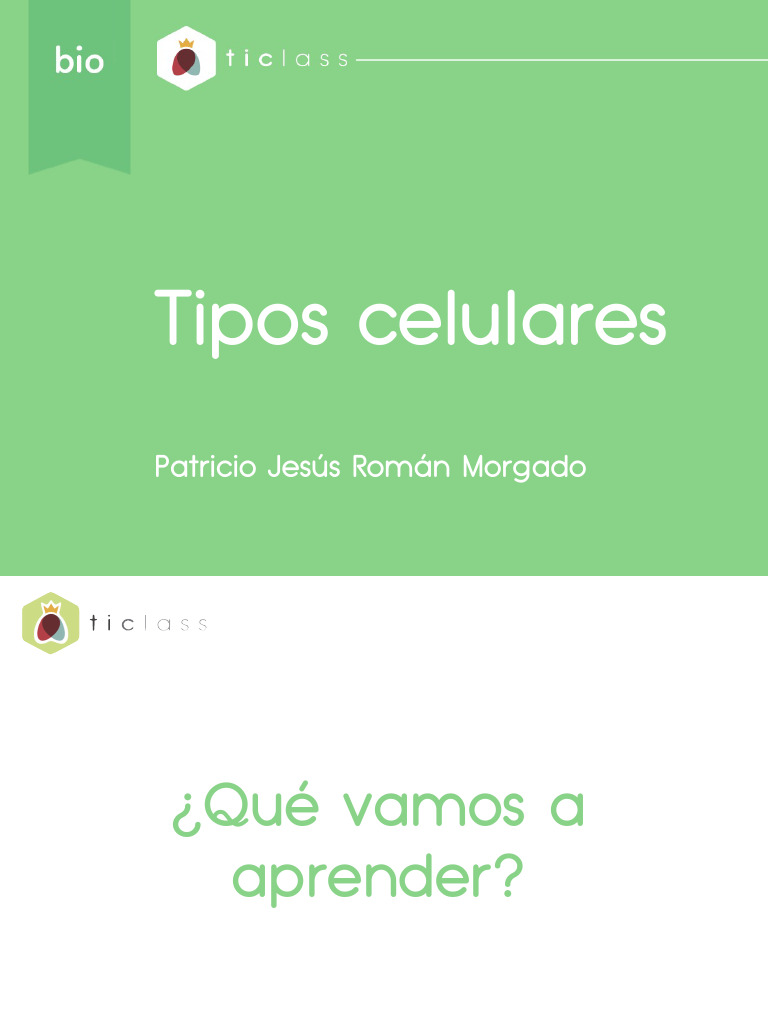 Tipos Celu 6091efa4753893fe71cb3183 | PDF