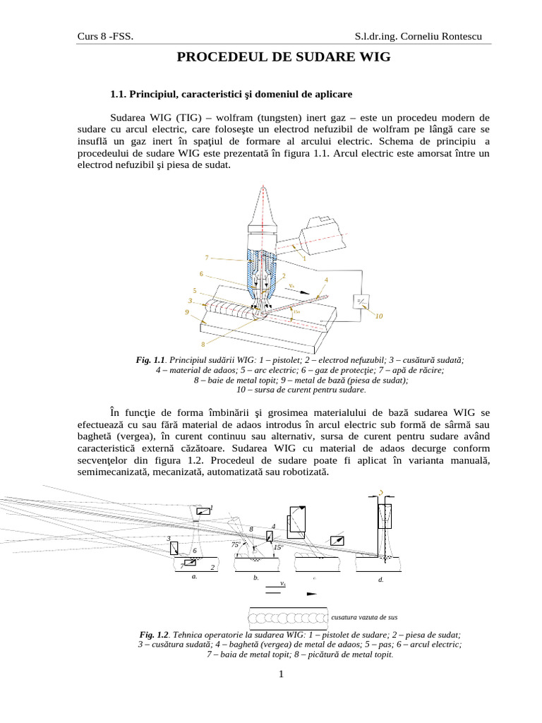 Curs 8 WIG Word | PDF