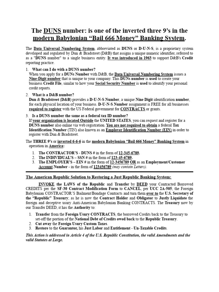 Understanding DUNS Numbers and Their Uses | PDF