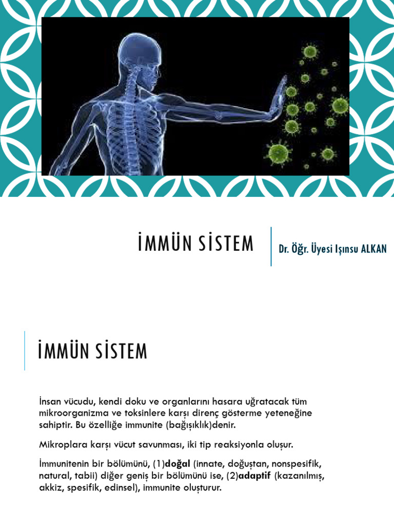 Immün Sistem | PDF
