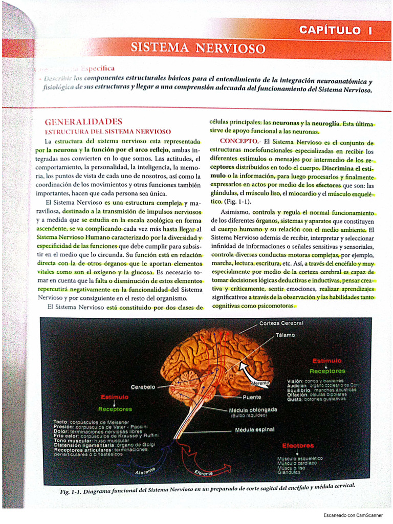 Tema 1 (6 Edición) | PDF