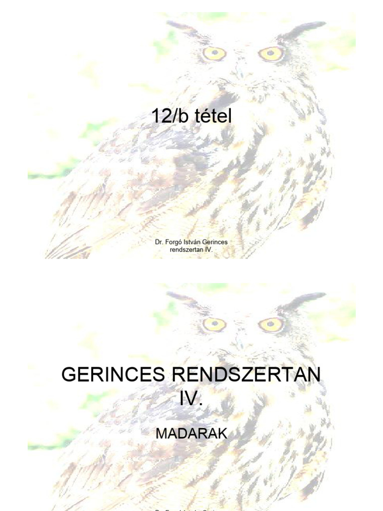 Gerinces Rendszertan Iv | PDF