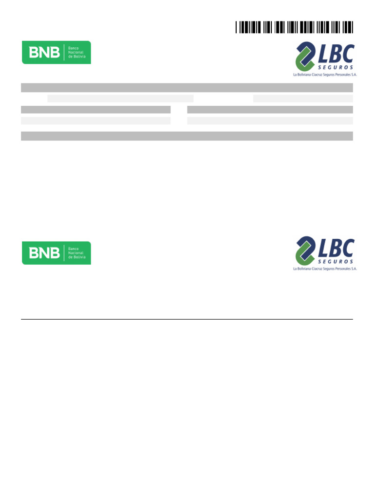 Seguro BNB | PDF