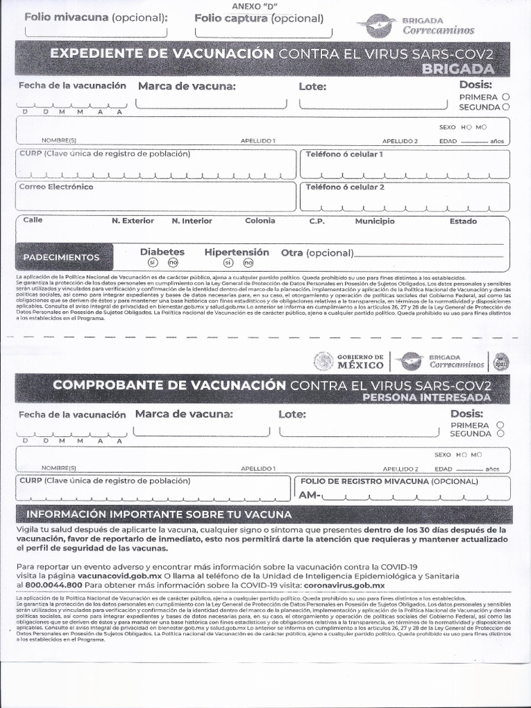 Anexo D | PDF