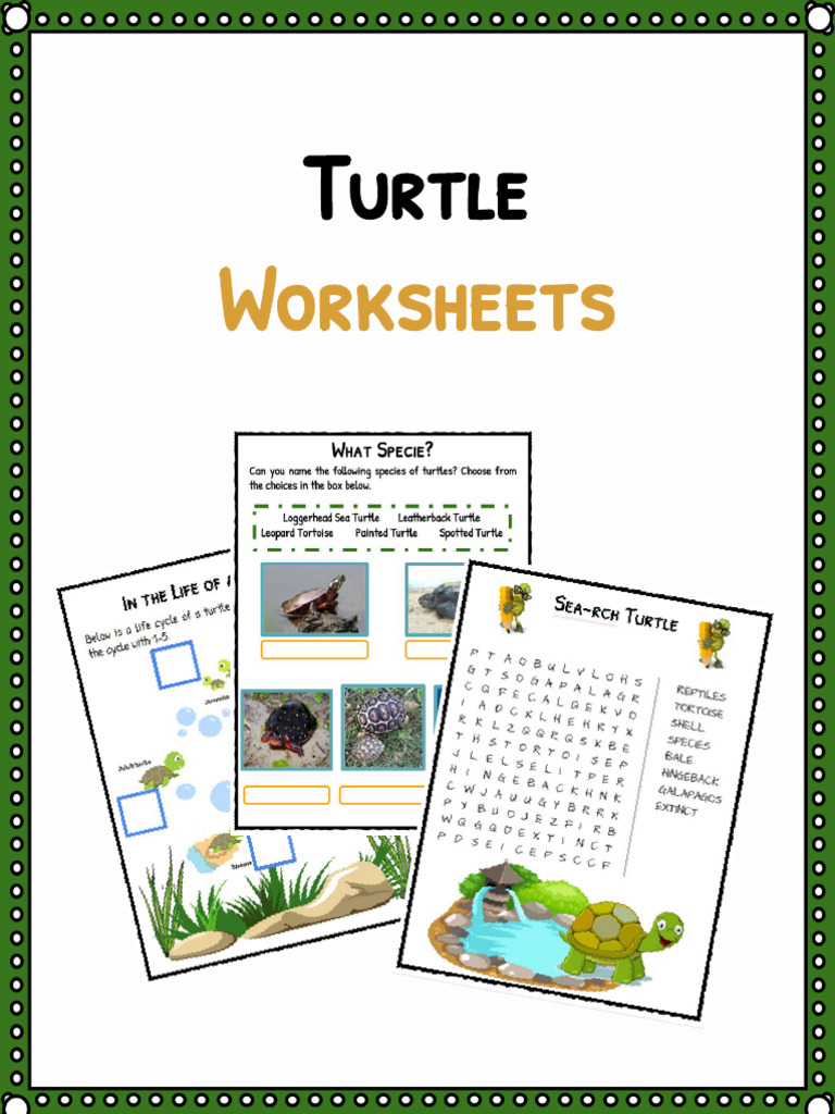 Sample Turtle Worksheets | PDF