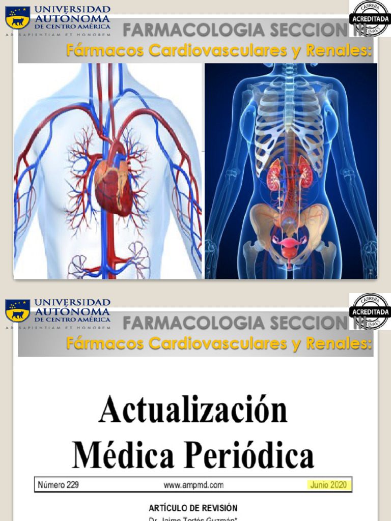 Farma Cardiovascular y Renal | PDF