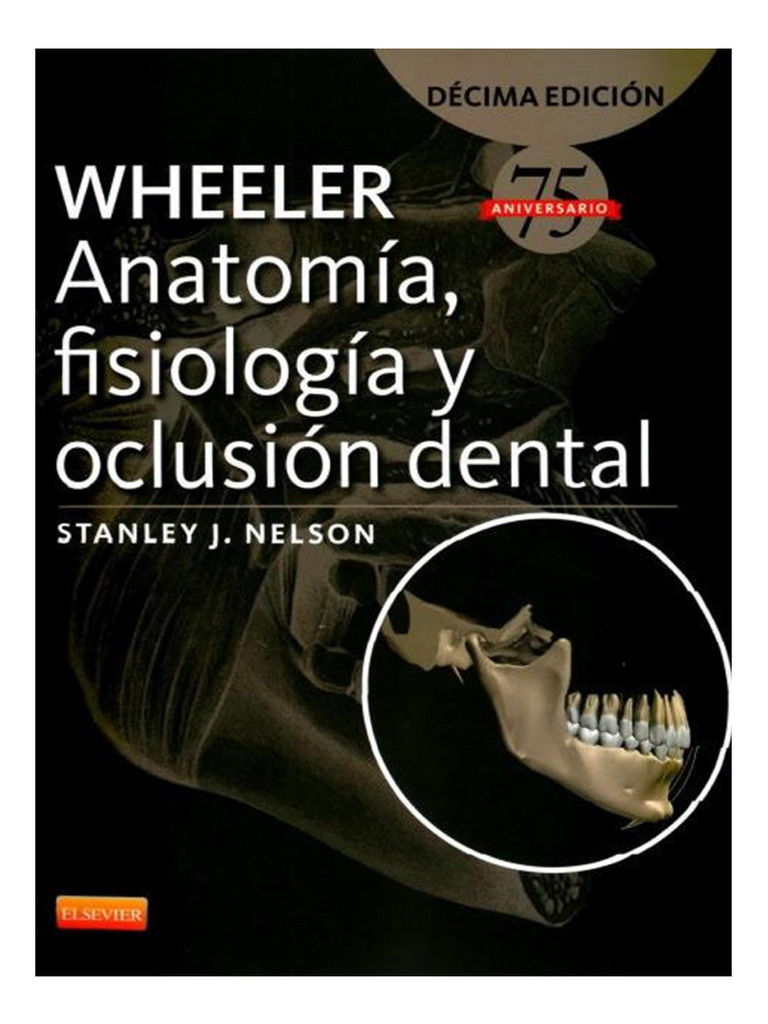 Anatomía, Fisiología y Oclusión Dental - WHEELER - 10º Edición | PDF