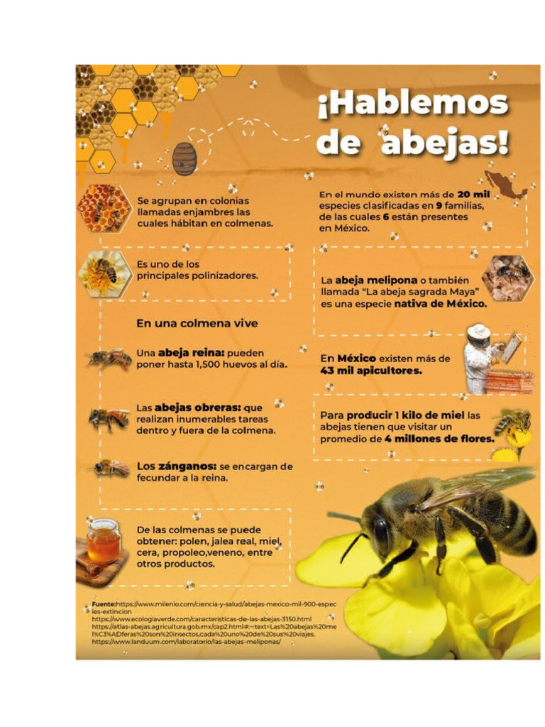ABEJAS | PDF