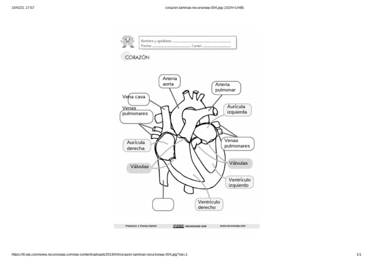 Corazon Laminas Recursosep 004 | PDF