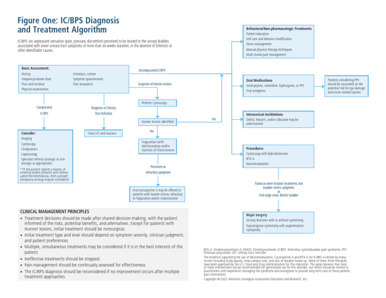 Interstitial Cystitis JU Summary Algorithm | PDF