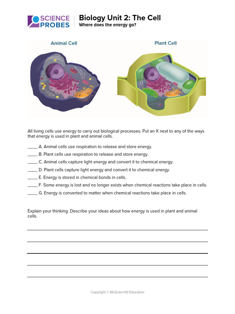 Science Probe_ The Cell | PDF