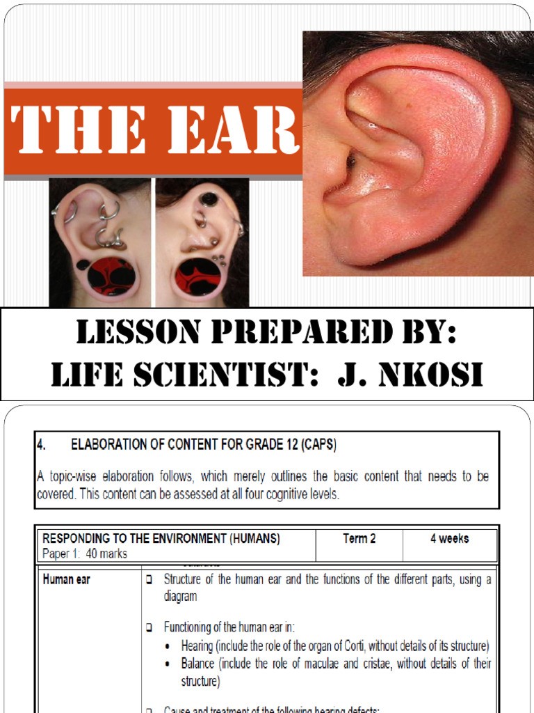 The ear notes life sciences | PDF