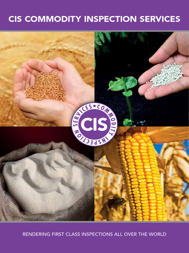 Brochure CIS - En | PDF