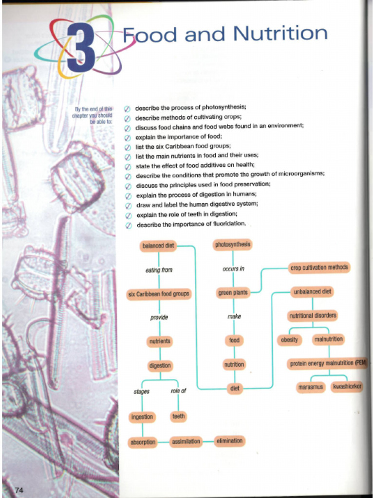 Integrated Sci 1 | PDF
