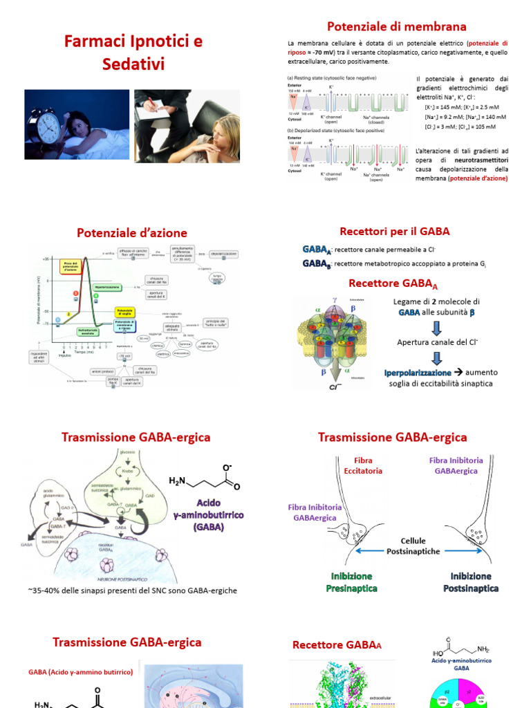 Farmaci Ipnotici e Sedativi: Potenziale Di Membrana | PDF