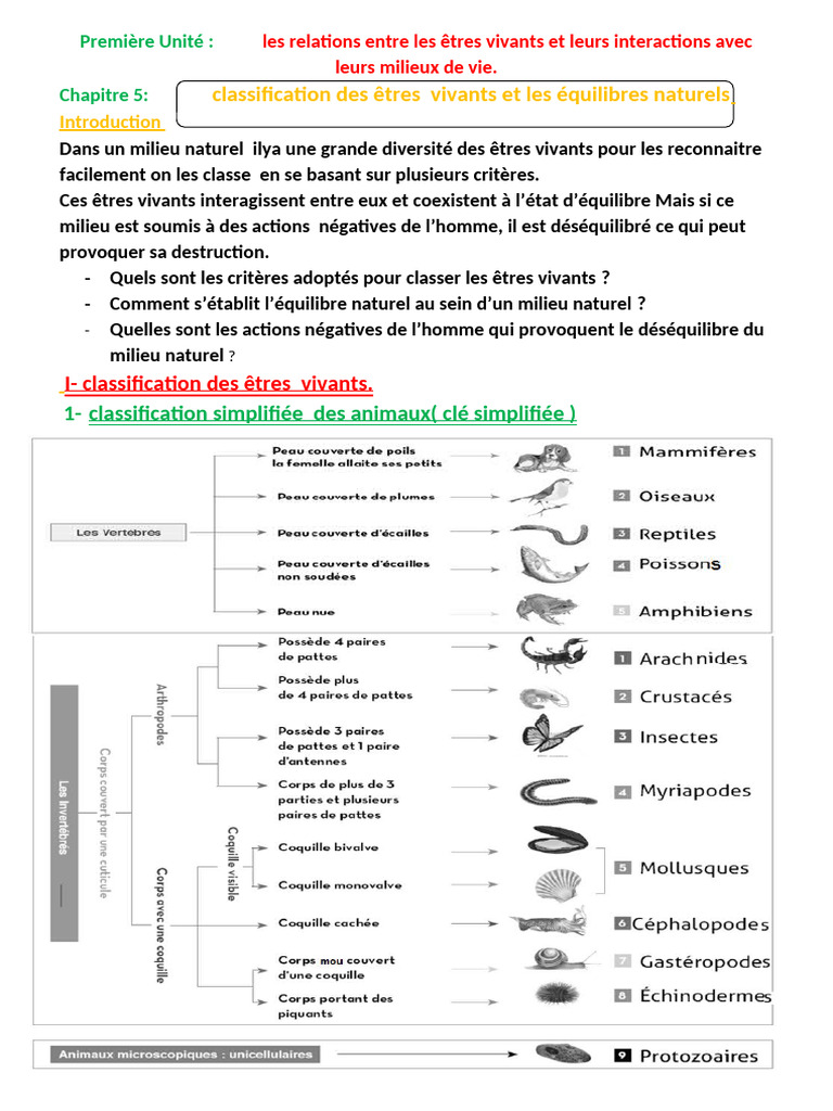 Classification des êtres vivants et équilibre naturel | PDF | Plantes ...