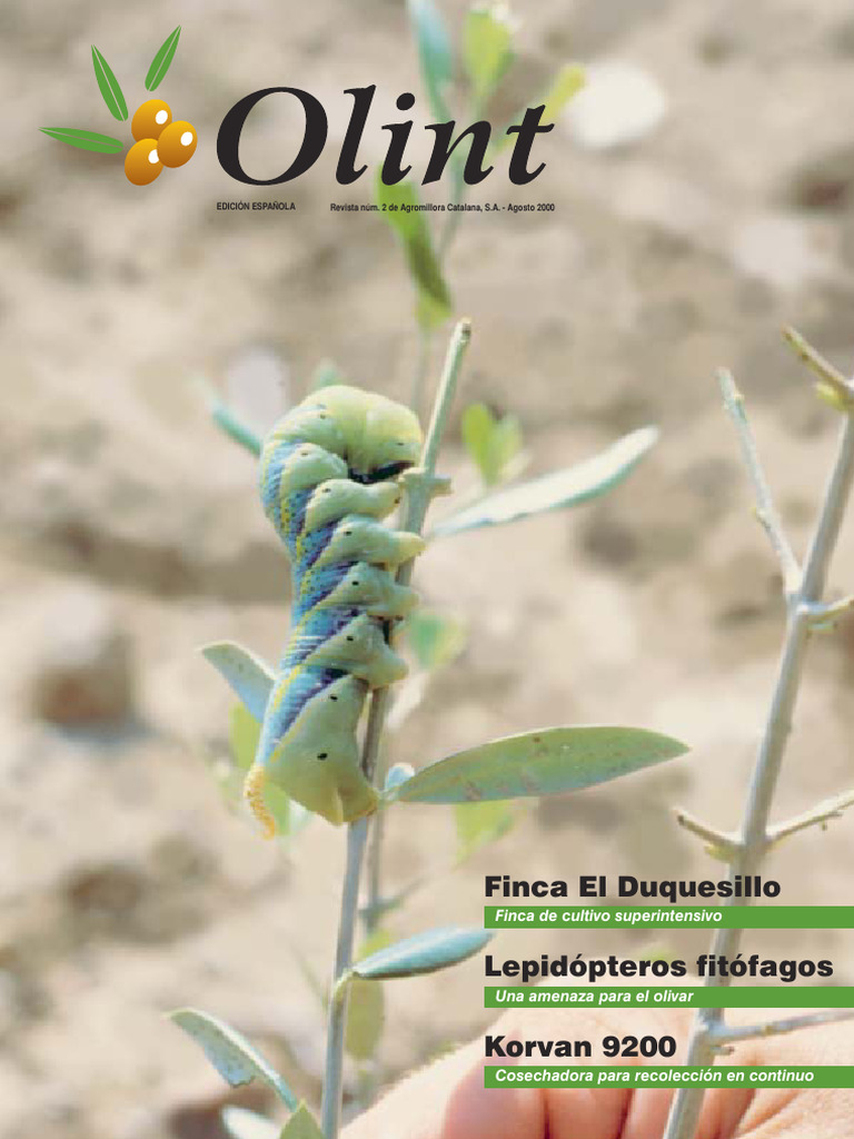 Olint 2 | PDF