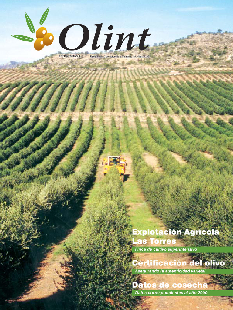 Olint 3 | PDF