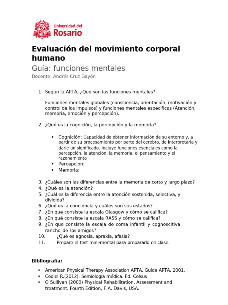 Guia Funciones Mentales | PDF