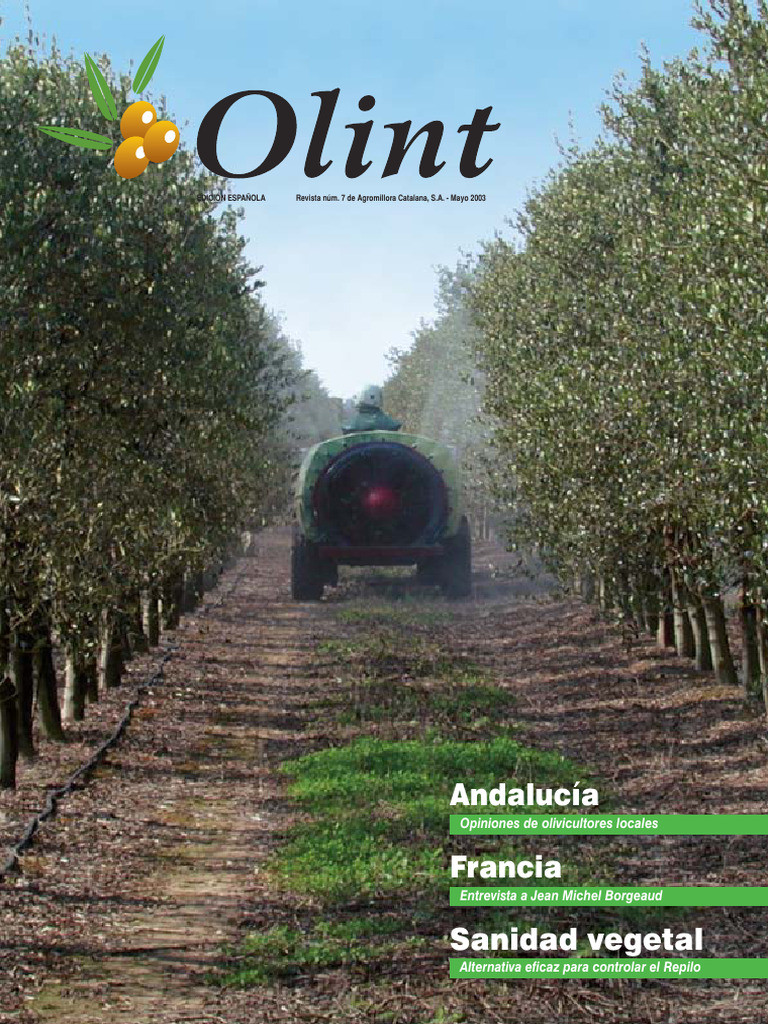 Olint 7 | PDF