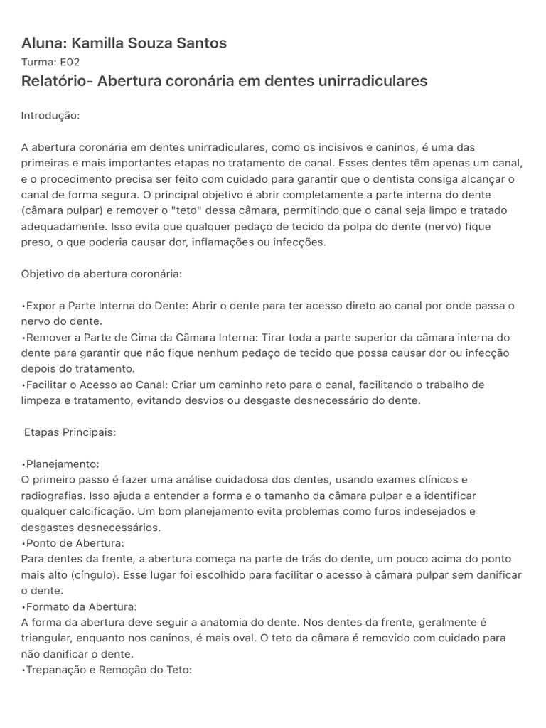 Aluna: Kamilla Souza Santos | PDF