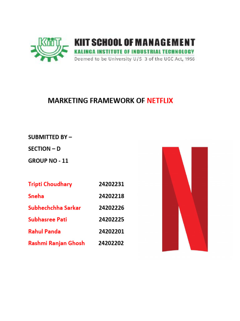 NETFLIX Report | PDF