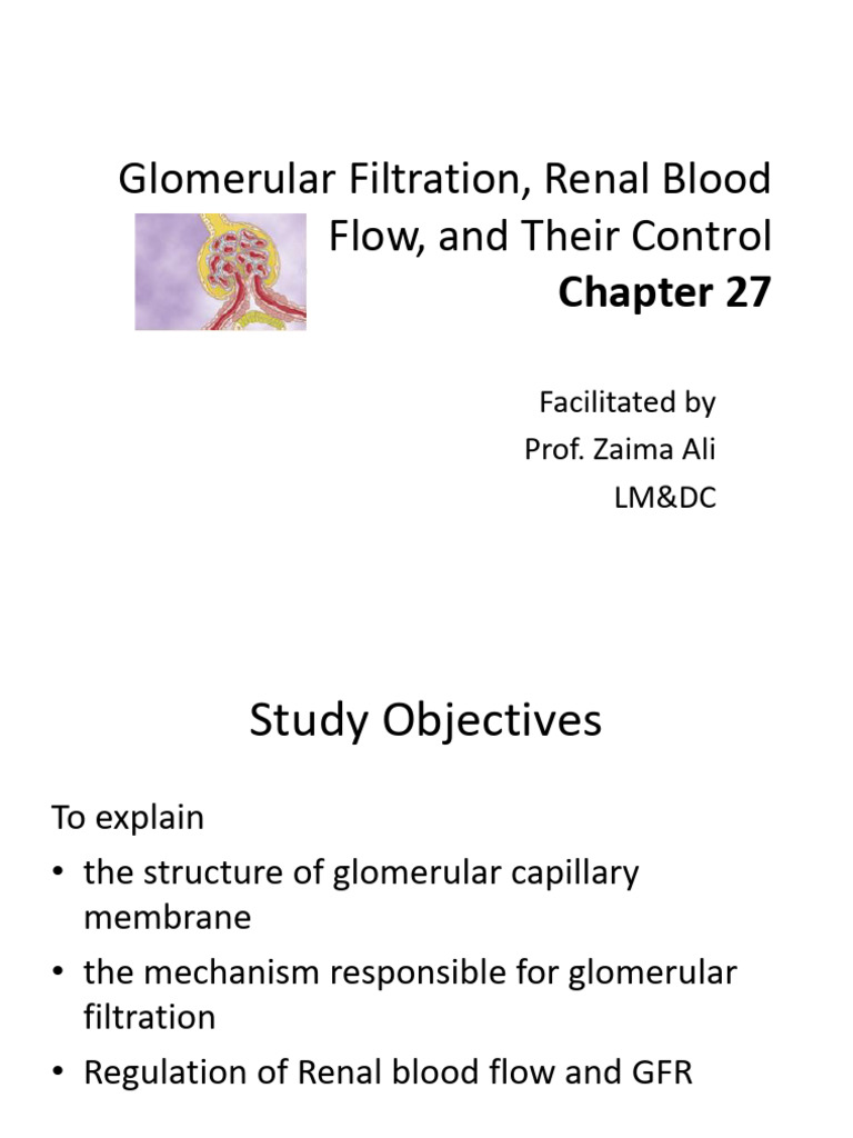 27 GFR | PDF