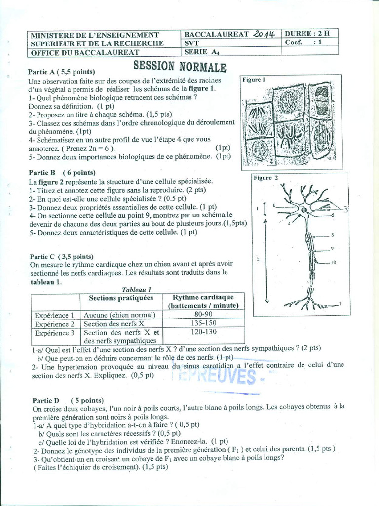 Bac A SVT 2014 | PDF